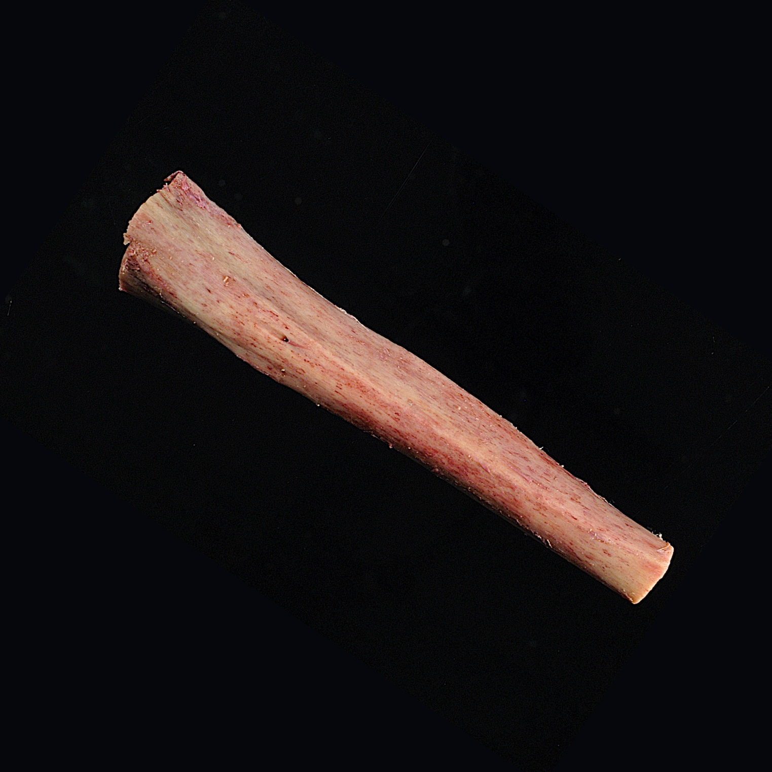 Australian Donated Bone Allograft - KT Medical